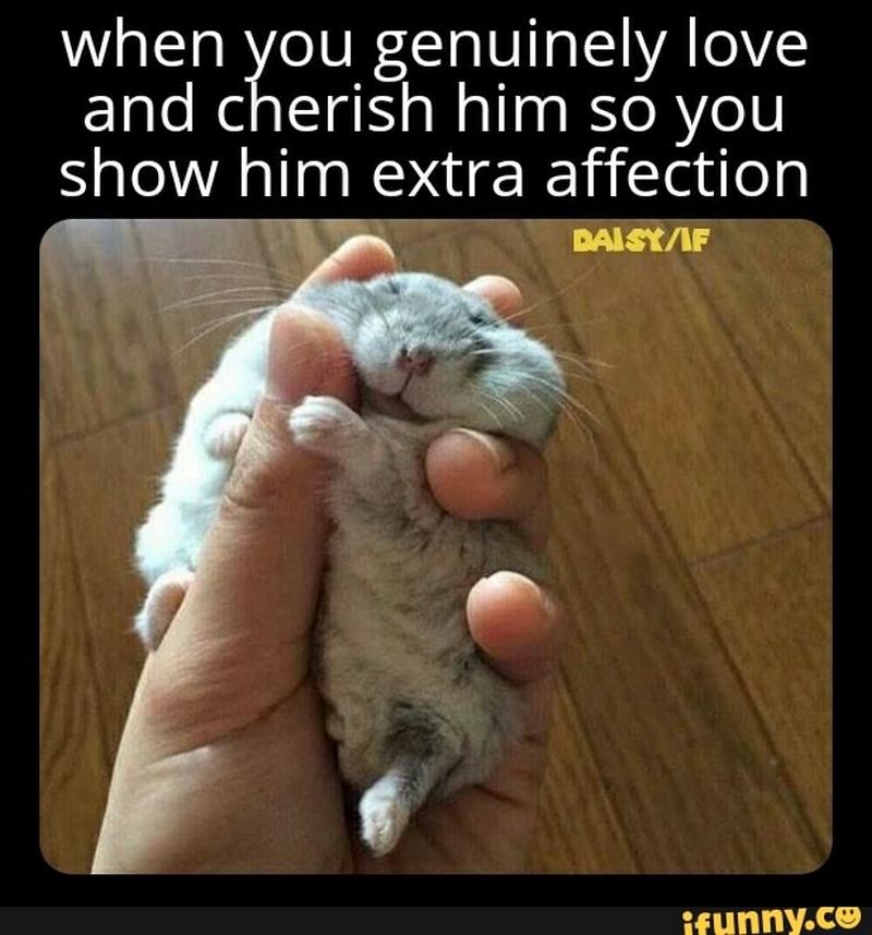47 Wholesome Love and Affection Memes for That Special Person