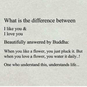 35 "I Like You" Memes for the People You Like a Lot