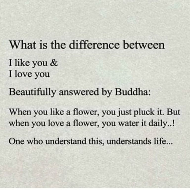 35 "I Like You" Memes for the People You Like a Lot