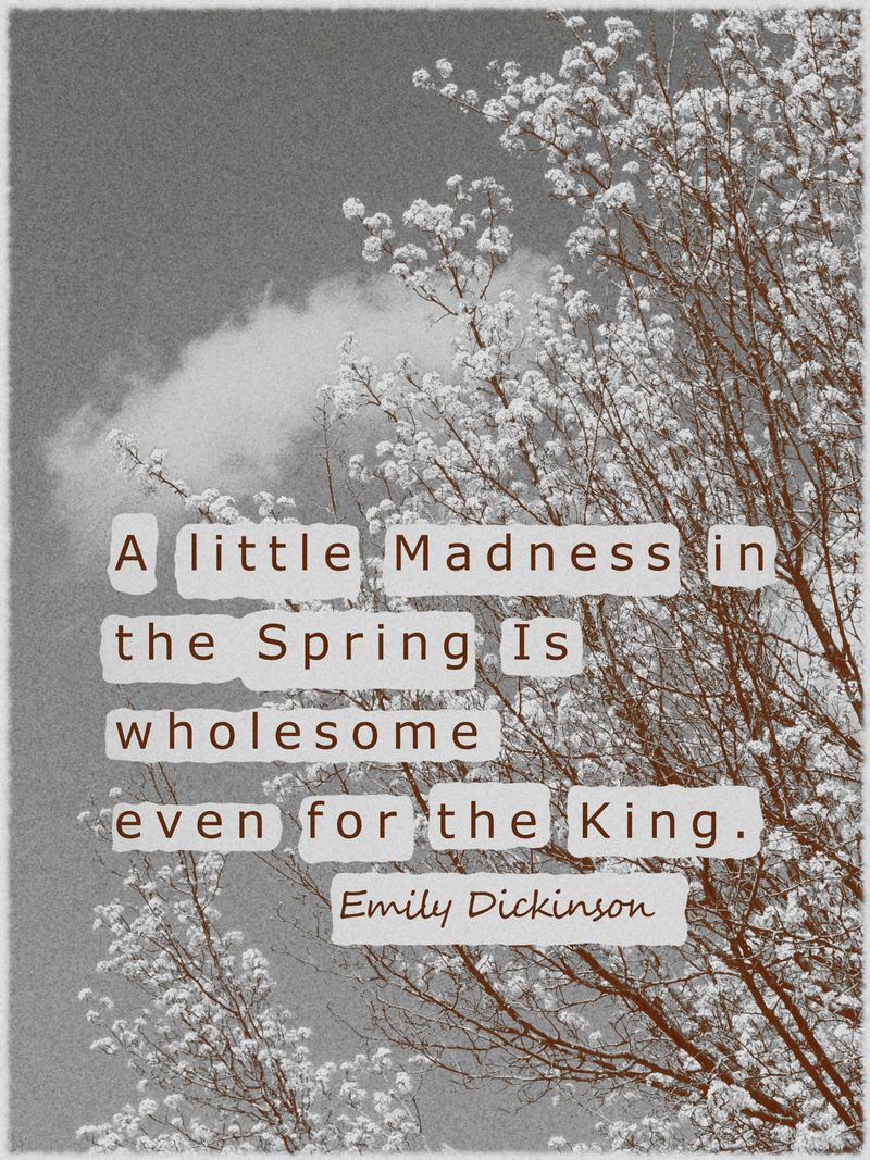 37 May Quotes and Sayings With Images for a Month of Success and Love