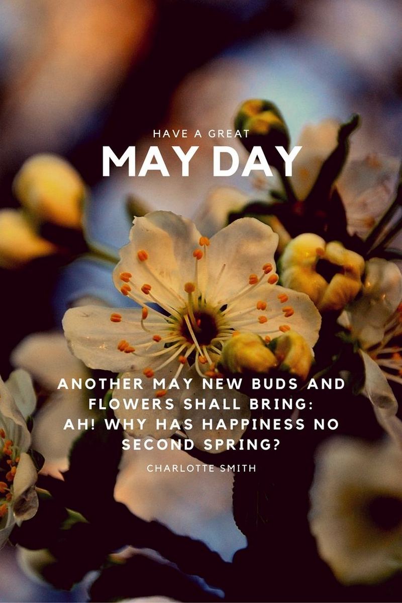 37 May Quotes and Sayings With Images for a Month of Success and Love