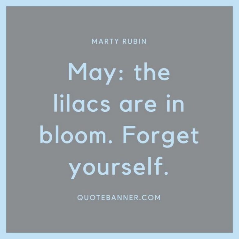 37 May Quotes and Sayings With Images for a Month of Success and Love