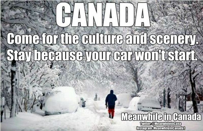 47 Funny Canadian Memes Will Only Make Sense if You Live in Canada