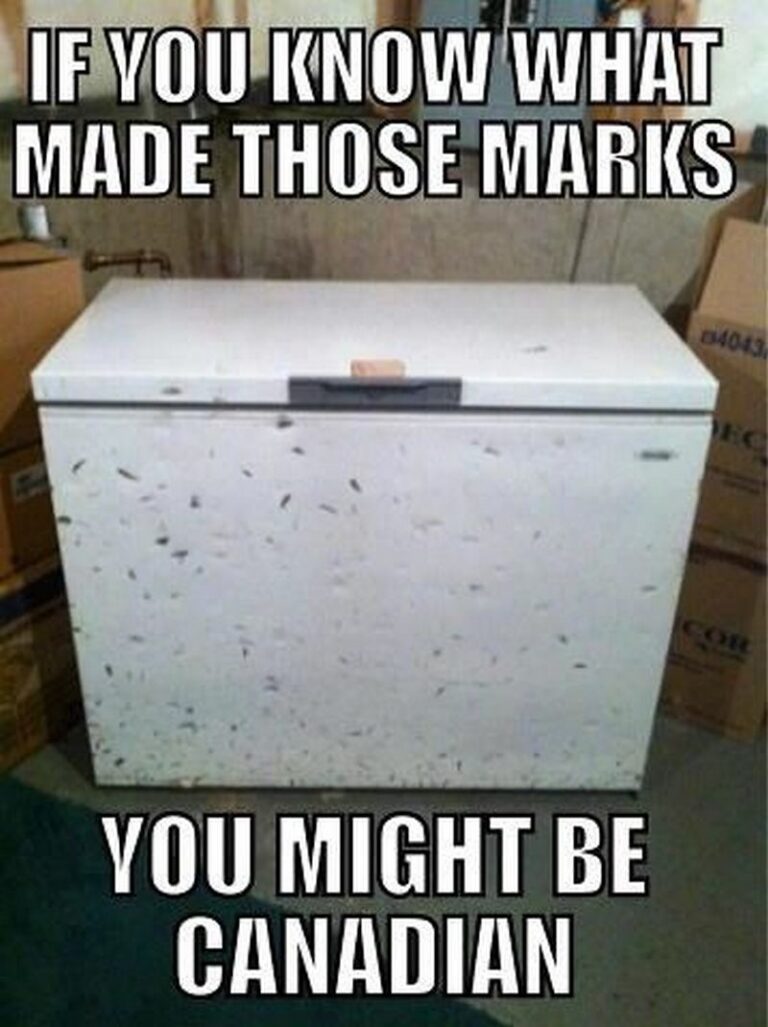 47 Funny Canadian Memes Will Only Make Sense if You Live in Canada