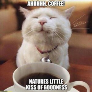 Coffee Humor To Start Your Day with Funny Images, Quotes, and Memes