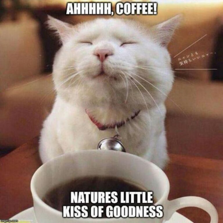 Coffee Humor To Start Your Day with Funny Images, Quotes, and Memes