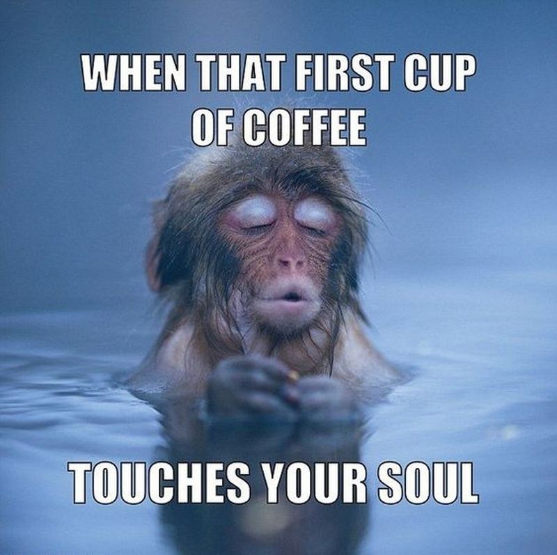Coffee Humor To Start Your Day with Funny Images, Quotes, and Memes