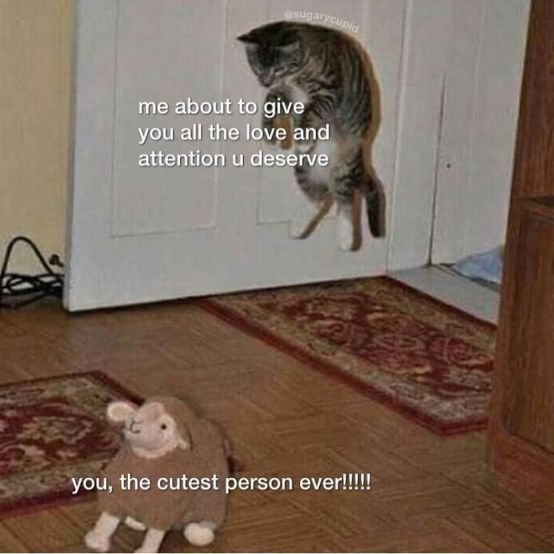 63 Couple Memes That Are Cute, Funny, and Wholesome Just Like You