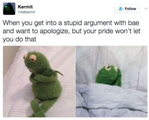 63 Couple Memes That Are Cute, Funny, and Wholesome Just Like You