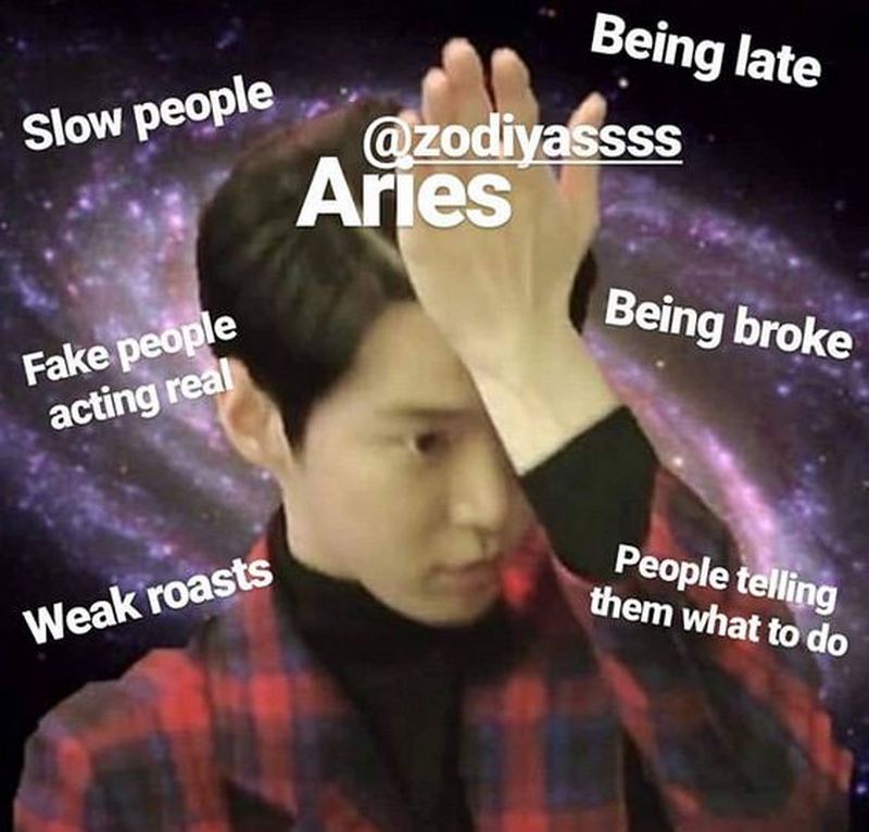 55 Funny Aries Memes | Zodiac Season From March 21 to April 19