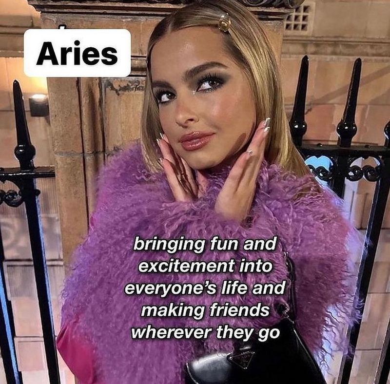 55 Funny Aries Memes | Zodiac Season From March 21 to April 19