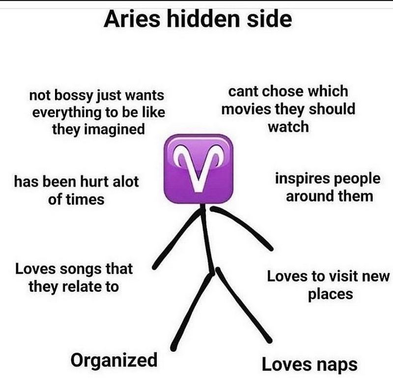 55 Funny Aries Memes | Zodiac Season From March 21 to April 19