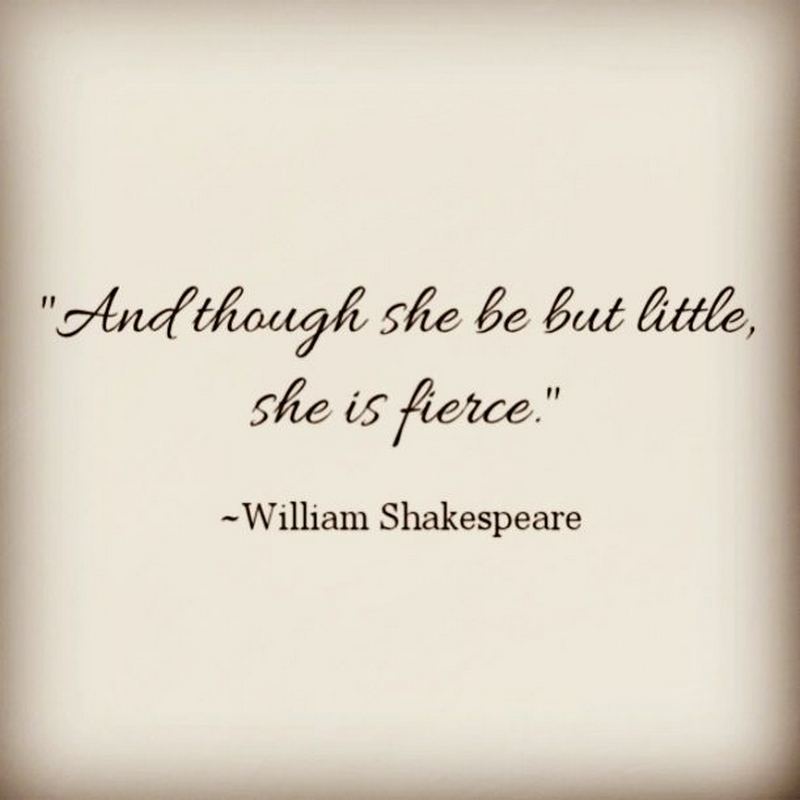 69 Funny Sassy Quotes Classy Girls Will Love for Instagram