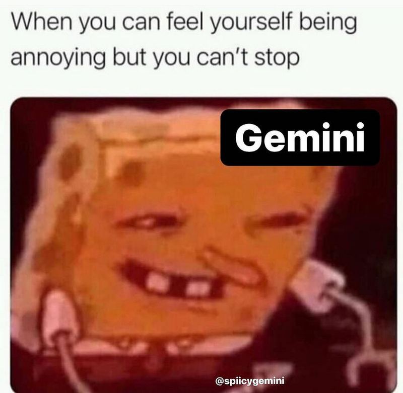 51 Funny Gemini Memes | Zodiac Season From May 21 - June 21