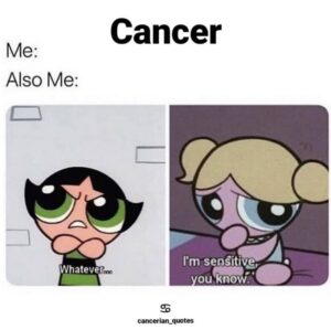 65 Funny Cancer Memes | Zodiac Season From June 21 to July 23