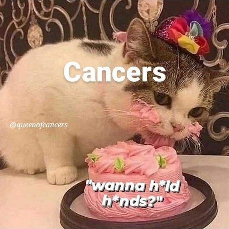 65 Funny Cancer Memes | Zodiac Season From June 21 to July 23