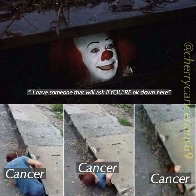 65 Funny Cancer Memes | Zodiac Season From June 21 to July 23