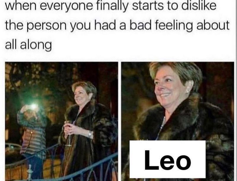 47 Funny Leo Memes | Zodiac Season From July 23 to August 23