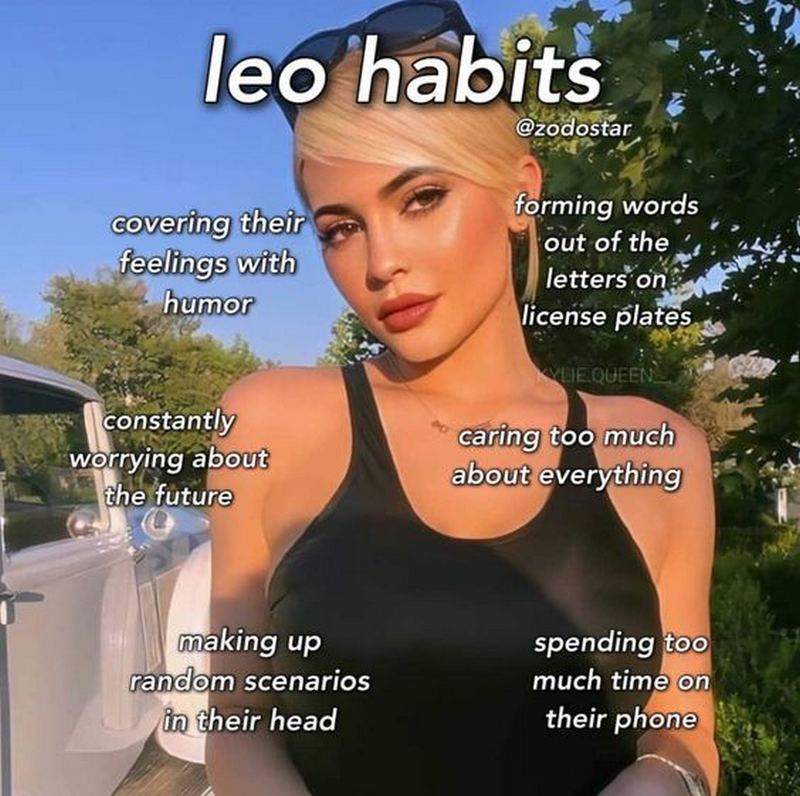 47 Funny Leo Memes | Zodiac Season From July 23 to August 23