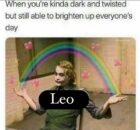47 Funny Leo Memes | Zodiac Season From July 23 to August 23