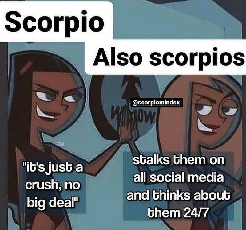61 Funny Scorpio Memes | Zodiac Season From Oct. 23 to Nov. 22