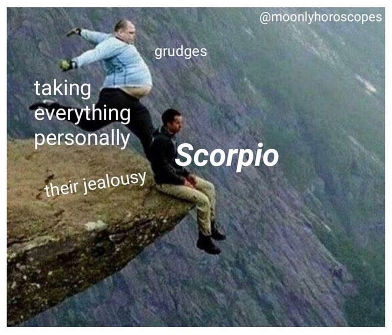 61 Funny Scorpio Memes | Zodiac Season From Oct. 23 to Nov. 22