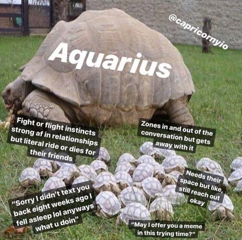 61 Funny Aquarius Memes | Zodiac Season from January 20 - February 18