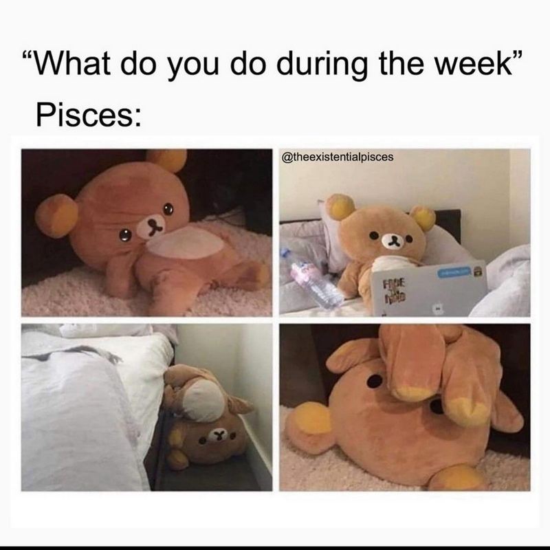 53 Funny Pisces Memes | Zodiac Season From February 18 to March 20