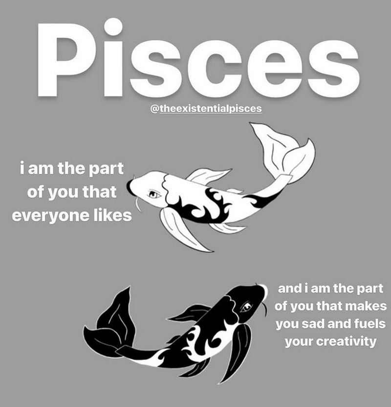 53 Funny Pisces Memes | Zodiac Season From February 18 to March 20
