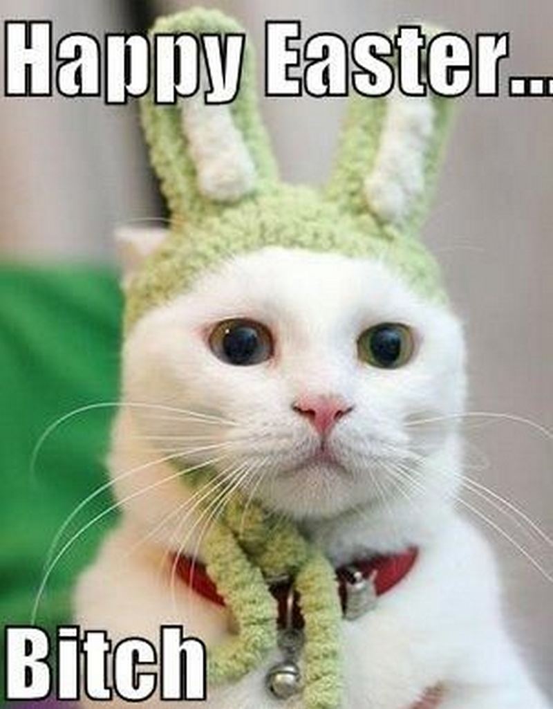 83 Easter Memes and Happy Sayings