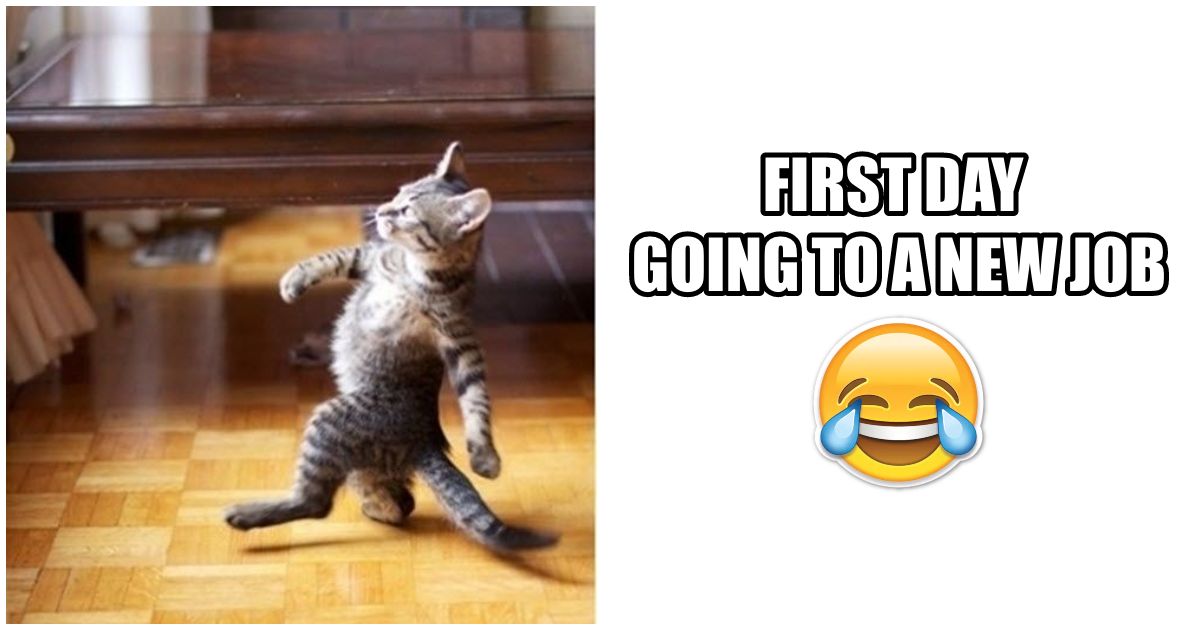 29 Funny New Job Memes and Images for That First Day