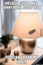 29 Funny April Fools' Day Memes