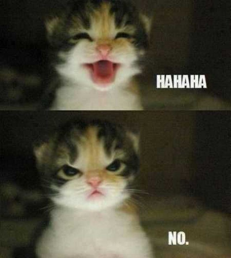 39 Hilarious Memes Just for You