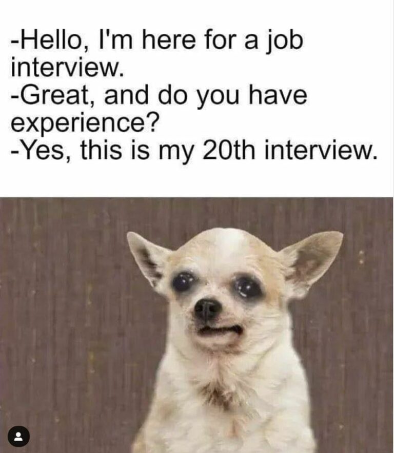 59 Funny Job Interview Memes With a Dash of Honesty