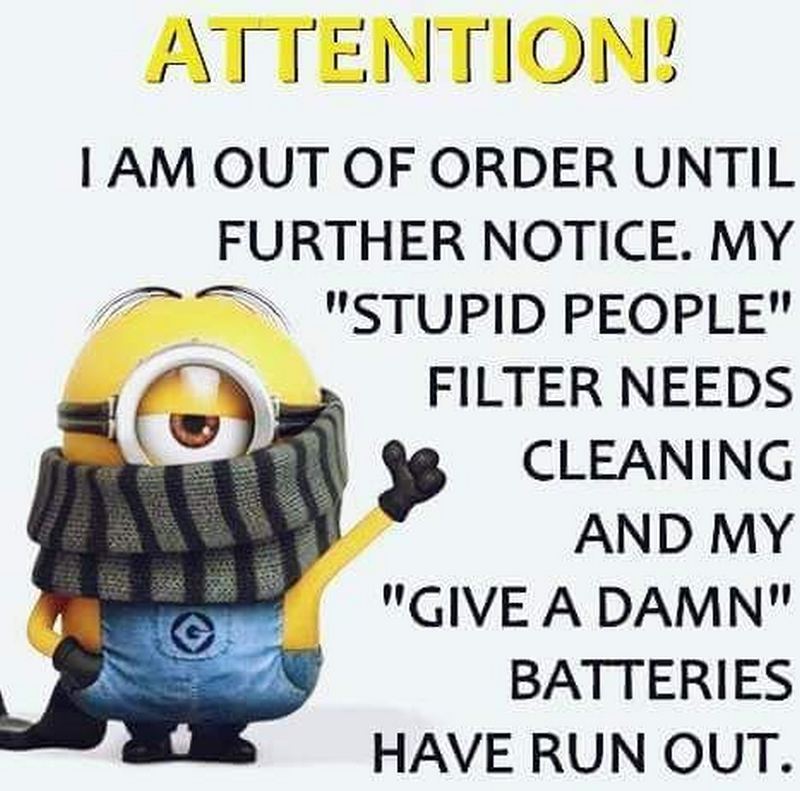 31 Funny Minion Memes Fans Will Love