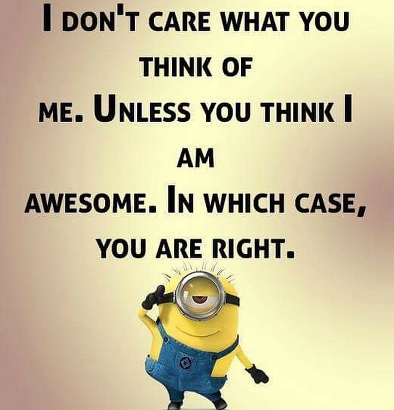 31 Funny Minion Memes Fans Will Love