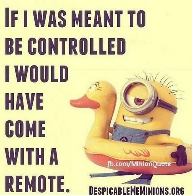 31 Funny Minion Memes Fans Will Love