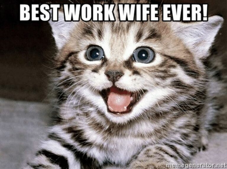 35 Funny Work Wife and Husband Memes