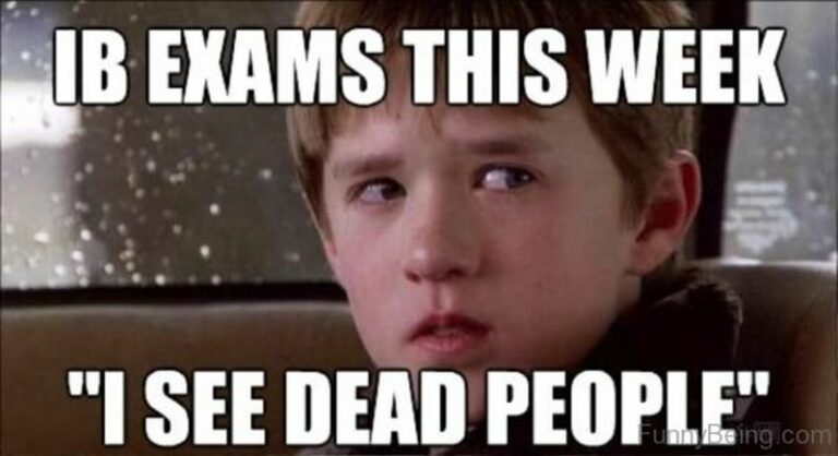 37 Exam Memes That Get an A+