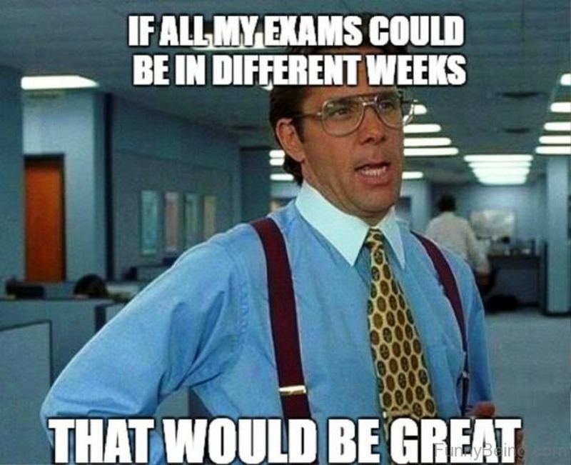 37 Exam Memes That Get an A+