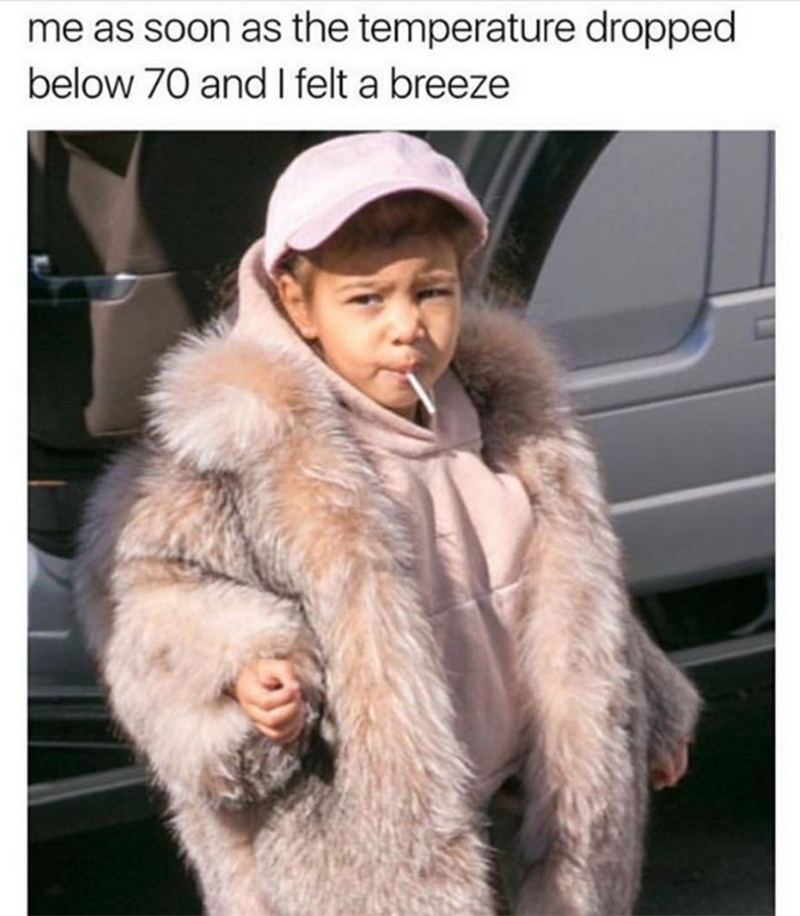 41 Funny Fashion Memes With Style