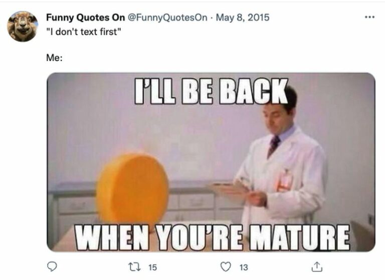 29 Funny Twitter Quotes and Tweets