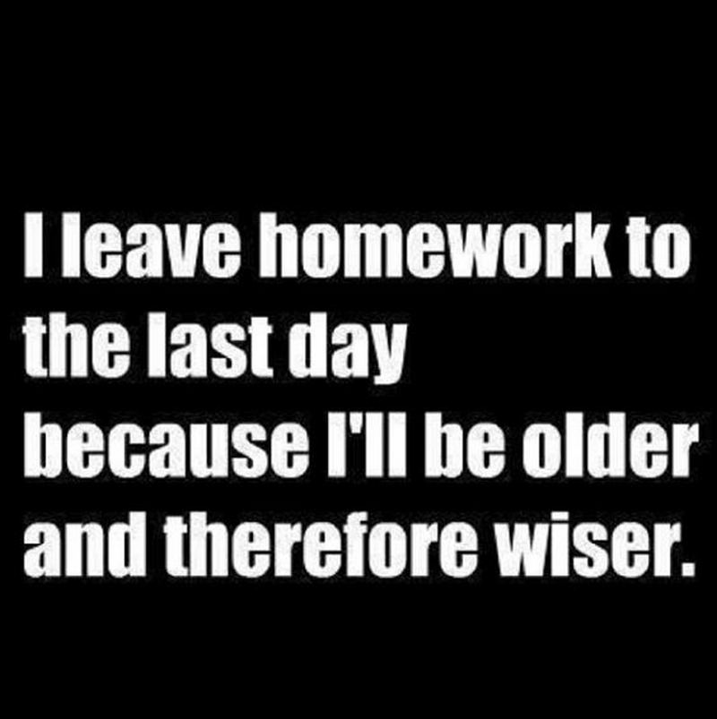 37 Homework Memes That Are Funny