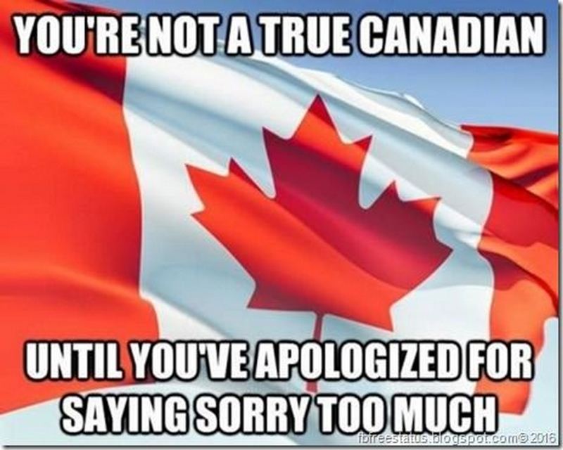 35 Happy Canada Day Memes