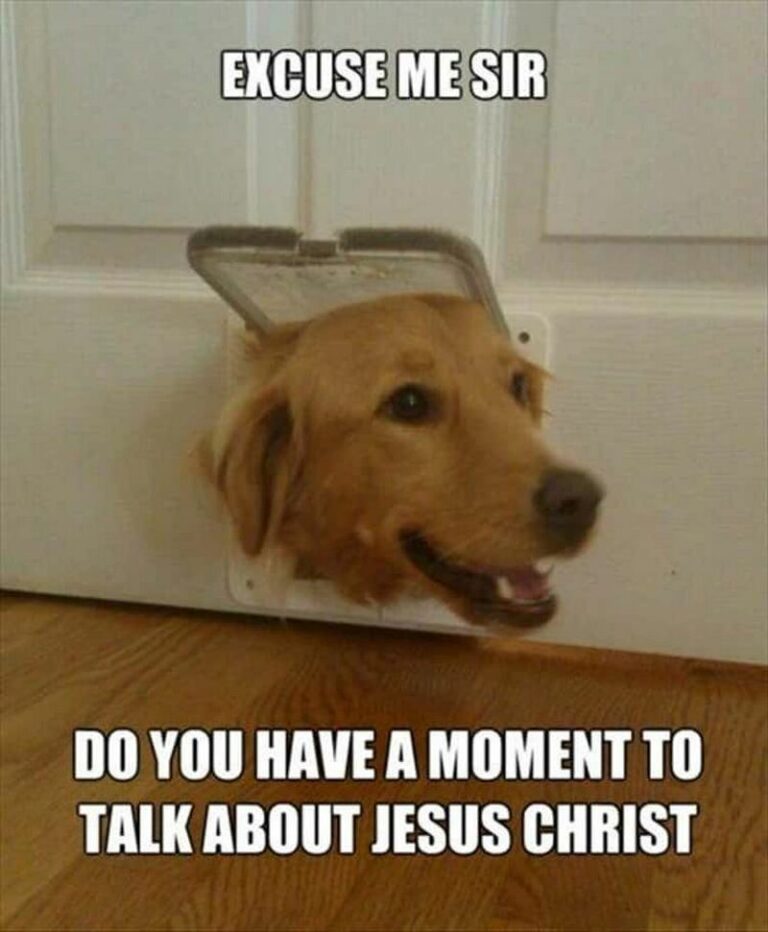 47 Funny Christian Memes for Holy Laughter