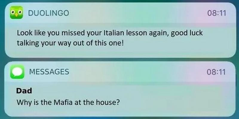 31 Funny Duolingo Memes Are Also Scary