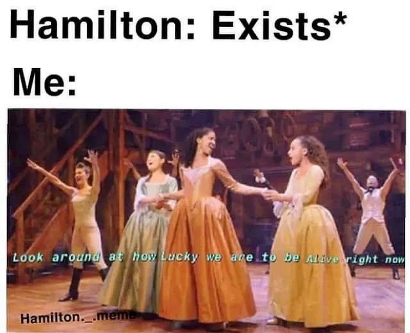 39 Best Funny Hamilton Memes