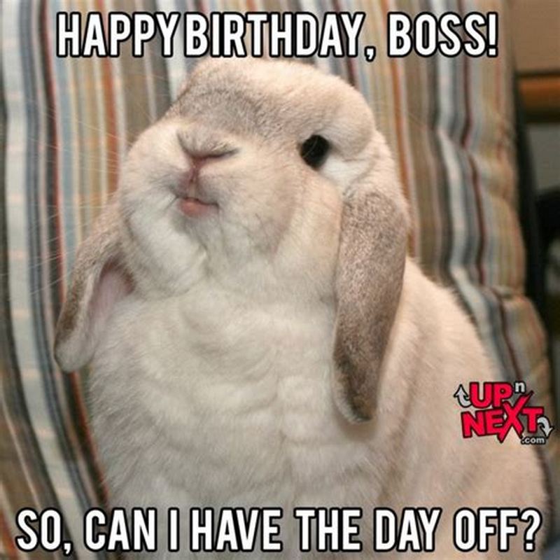 39 Funny Happy Birthday Boss Memes