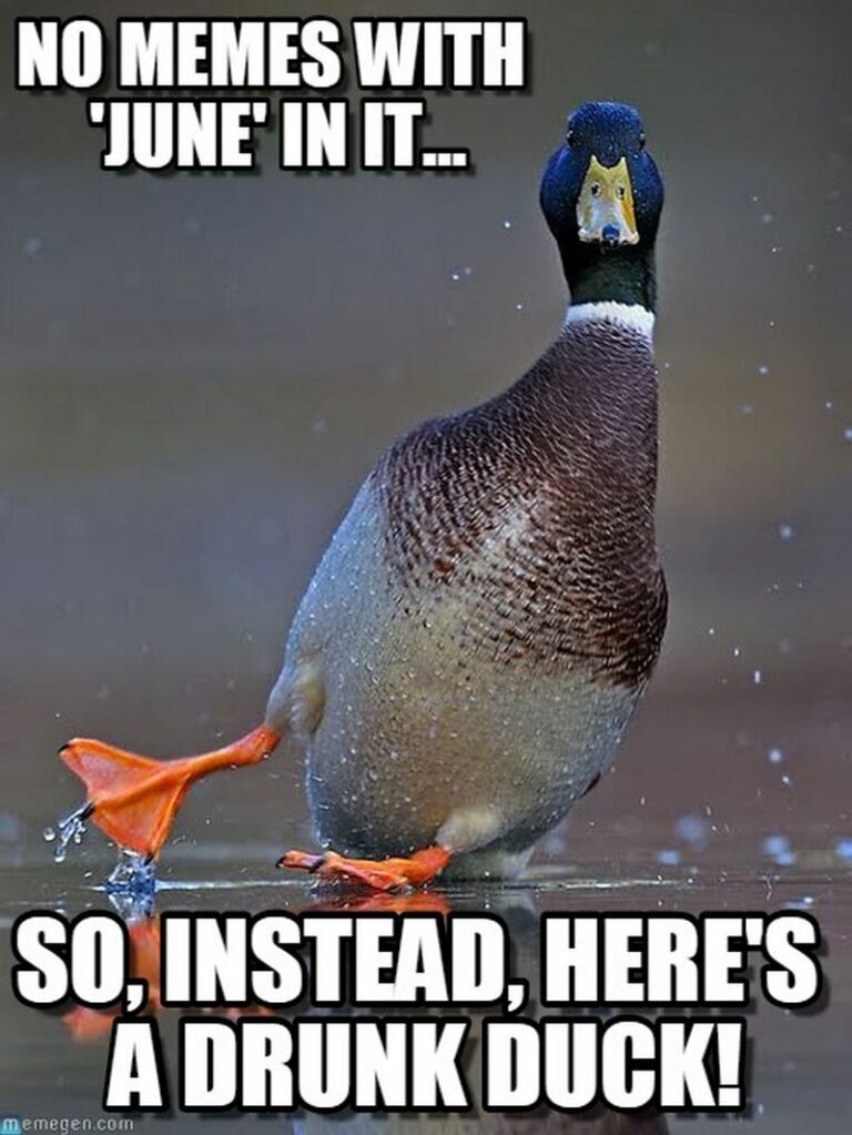 39 Funny June Memes