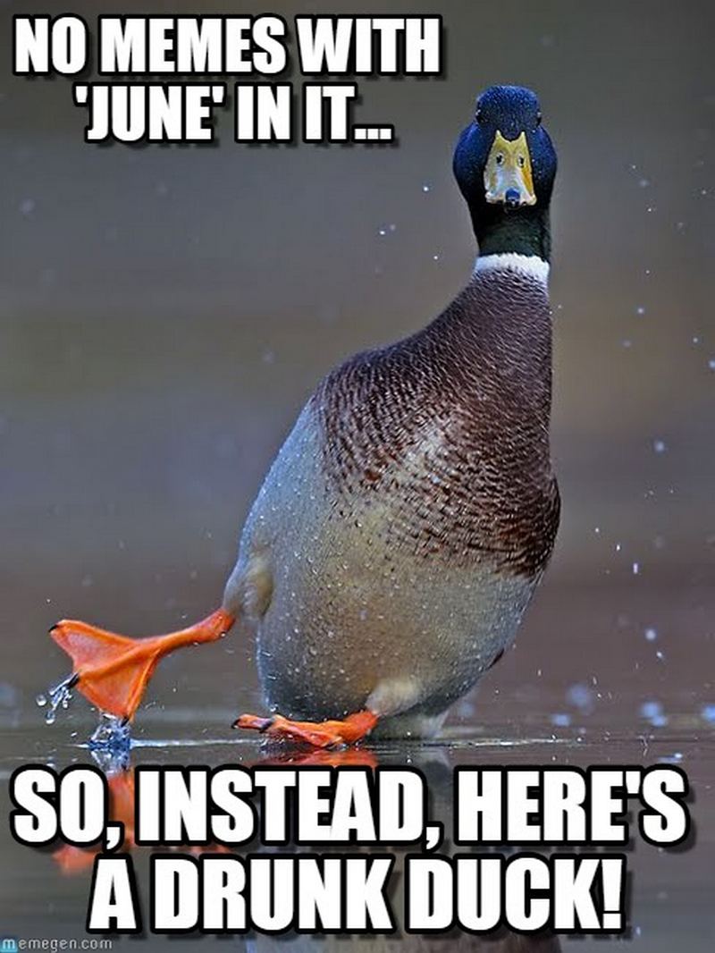 39 Funny June Memes